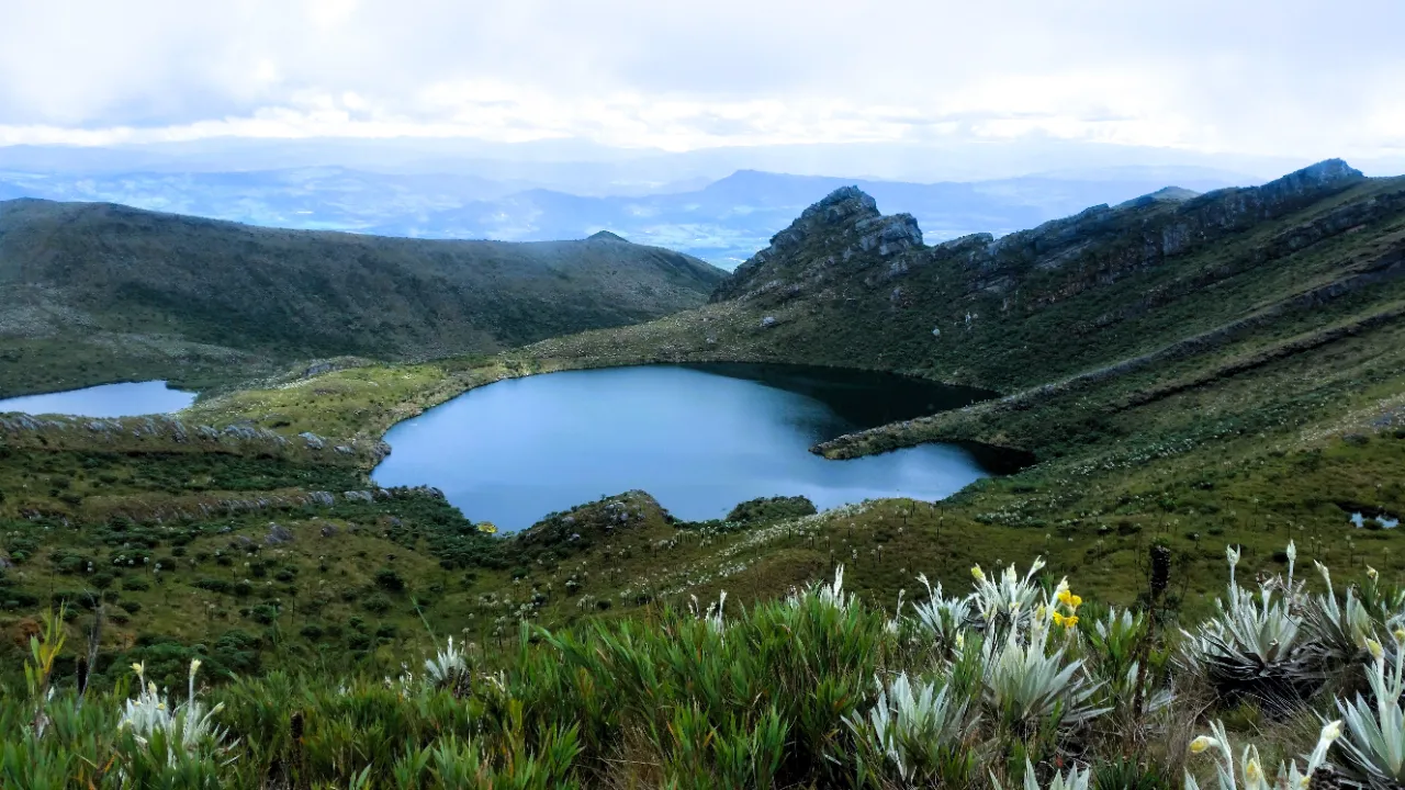 Tour al Parque Natural Chingaza desde Bogotá | Naturaleza